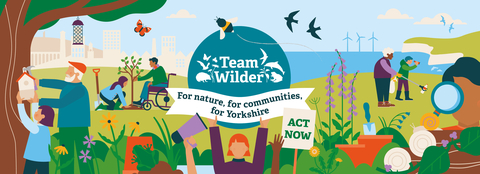 #TeamWilder | Yorkshire Wildlife Trust